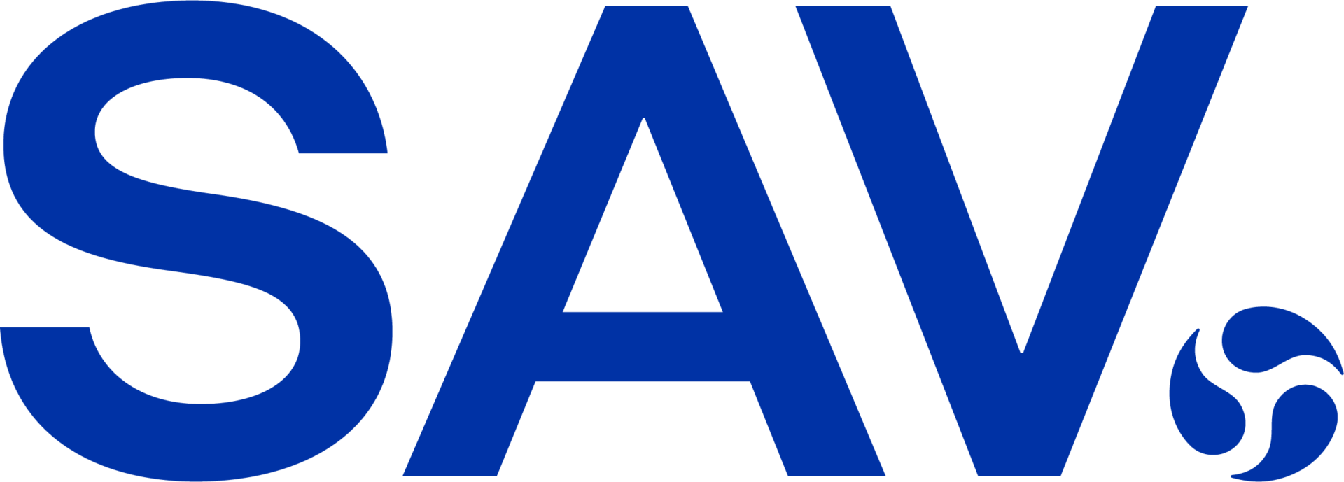 SAV Systems - Heat Networks Industry Council